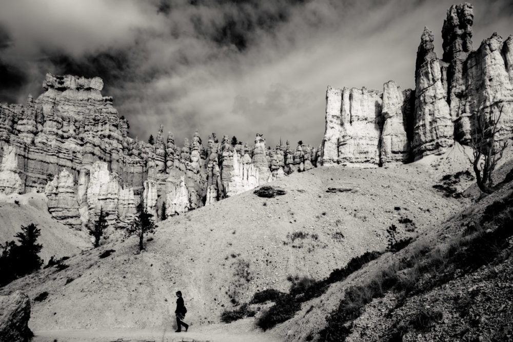 Alien Antics in America - Flemming Bo Jensen