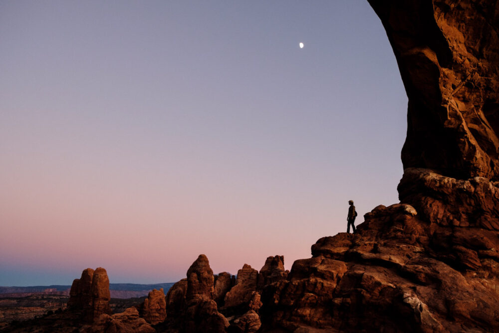 Alien Antics in America - Flemming Bo Jensen